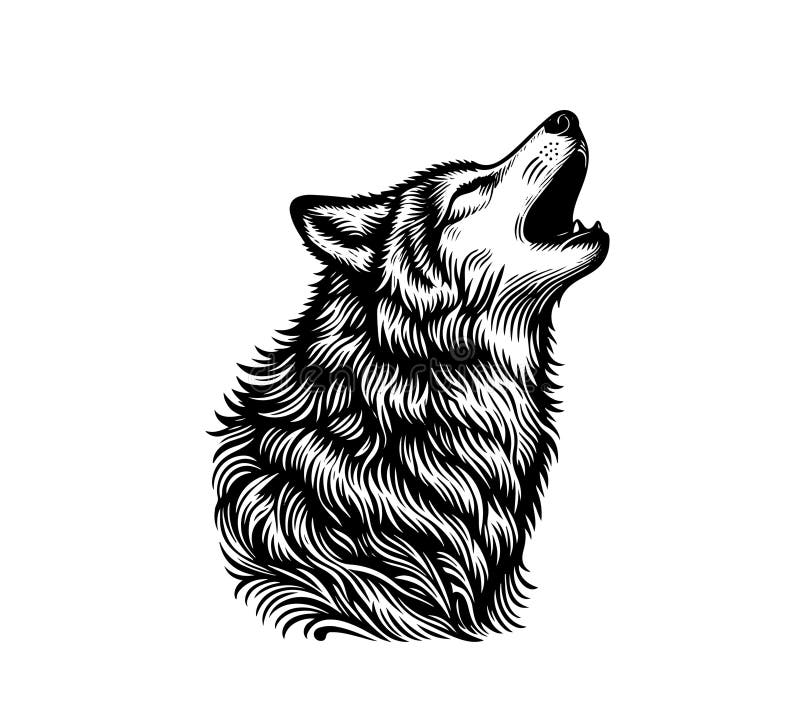 Eastern Timber Wolf Hand Drawn Vintage Vector Illustration Stock ...