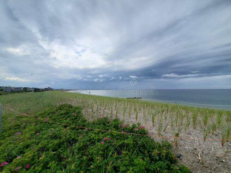 Eastern View of a Cape Cod Beach Stock Image - Image of field, beach ...