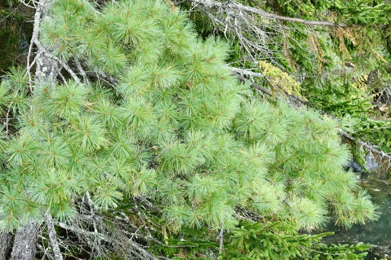 Debra Tosca (Debratos) - Photographer profile