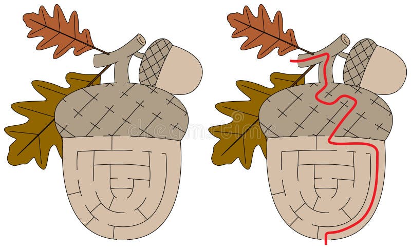 Easy acorn maze stock vector. Illustration of labyrinth - 77191027