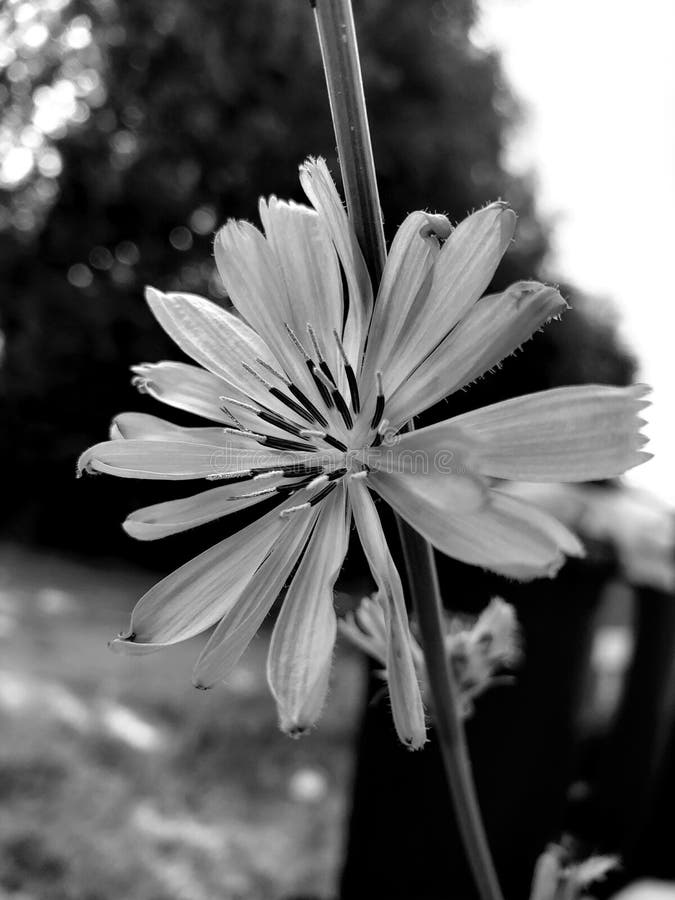 Easy Breeze stock image. Image of breeze, simple, easy - 153338045