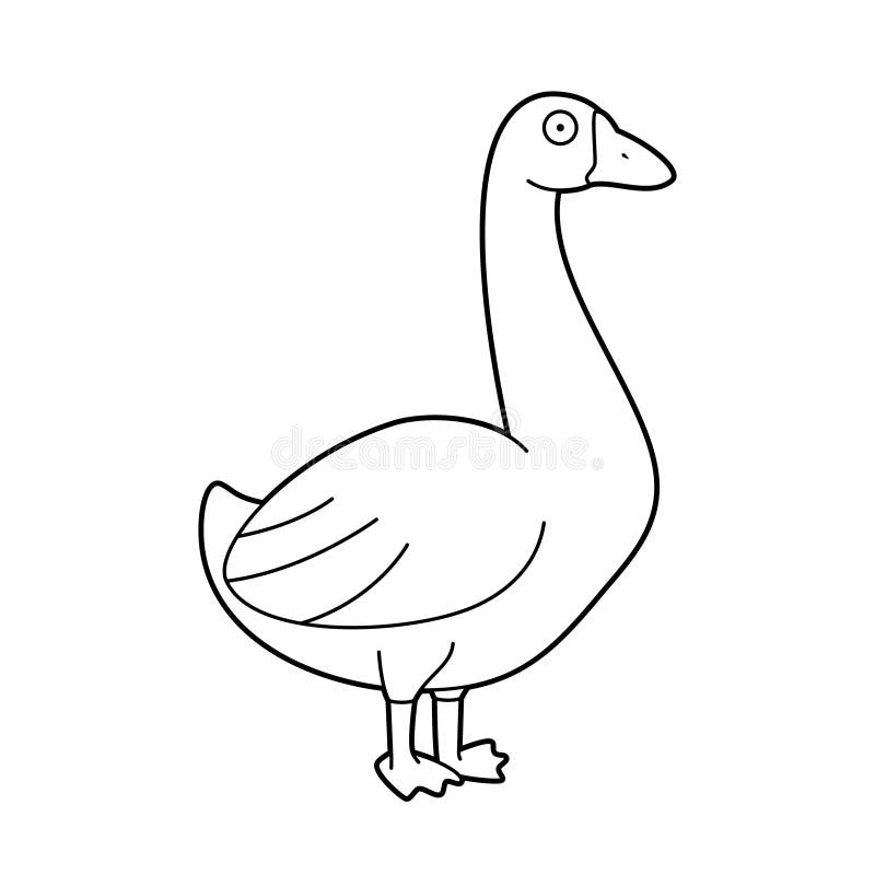 Easy Coloring Cartoon Vector Illustration of a Goose Stock Vector ... Easy Coloring Cartoon Vector Illustration of a Goose Stock Vector ...