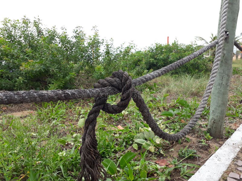 An easy knot to loosen stock photo. Image of beach, strings - 128343228