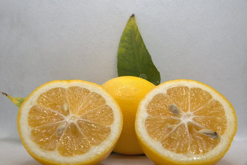 Is this Matured Form of Lime ? Stock Photo - Image of easy, form: 268445204