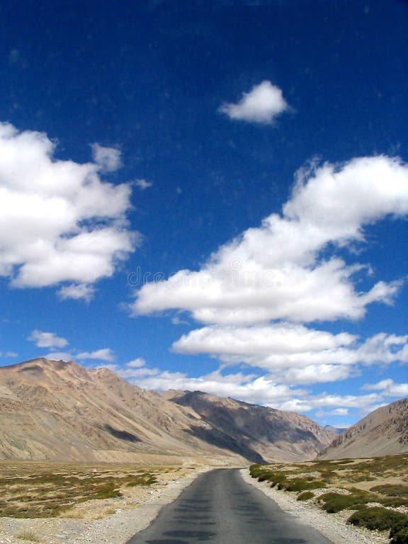 1,211 Easy Rider Cartoons Stock Photos - Free & Royalty-Free Stock ...