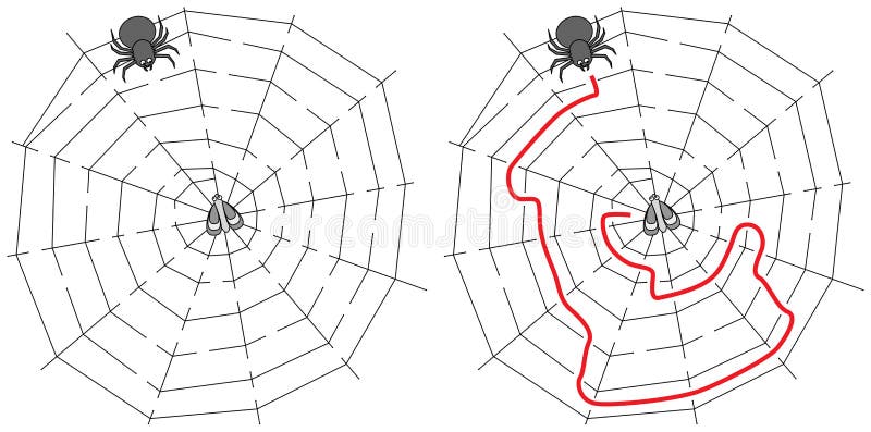 Easy spider maze stock vector. Illustration of brain - 100385690