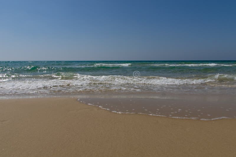 Easy To Surf on a Sandy Beach. Stock Photo - Image of shore, tropical ...