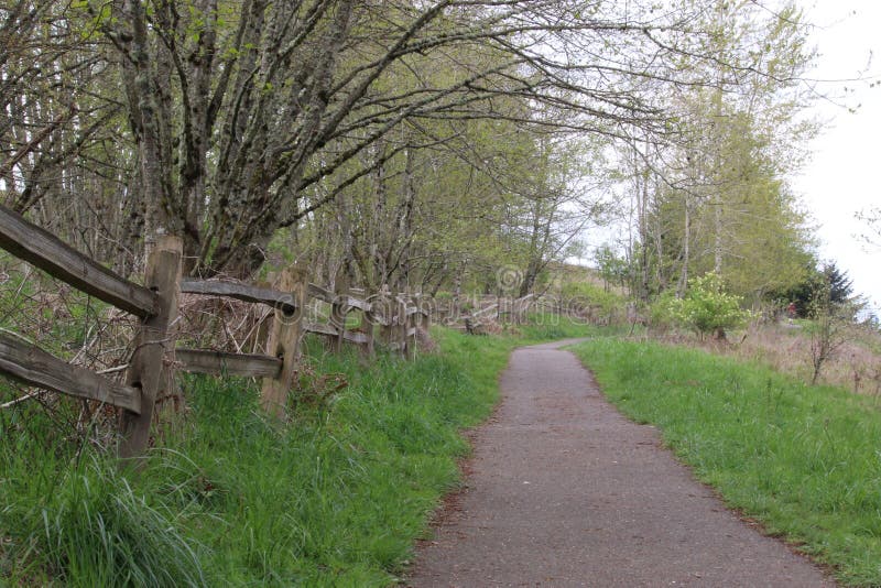 Easy trail stock image. Image of paved, trail, path, wooden - 52309169