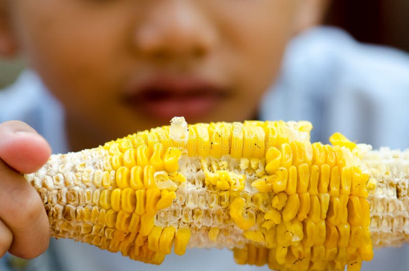 Eat corn stock image. Image of people, caucasian, child - 79248487