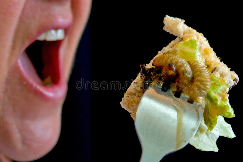 Eat Grub stock photo. Image of eating, lady, metaphore, lunch - 35418