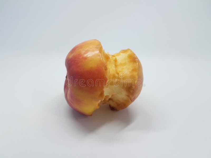 Eaten Apple Core on White Backround Stock Image - Image of snack, fruit ...