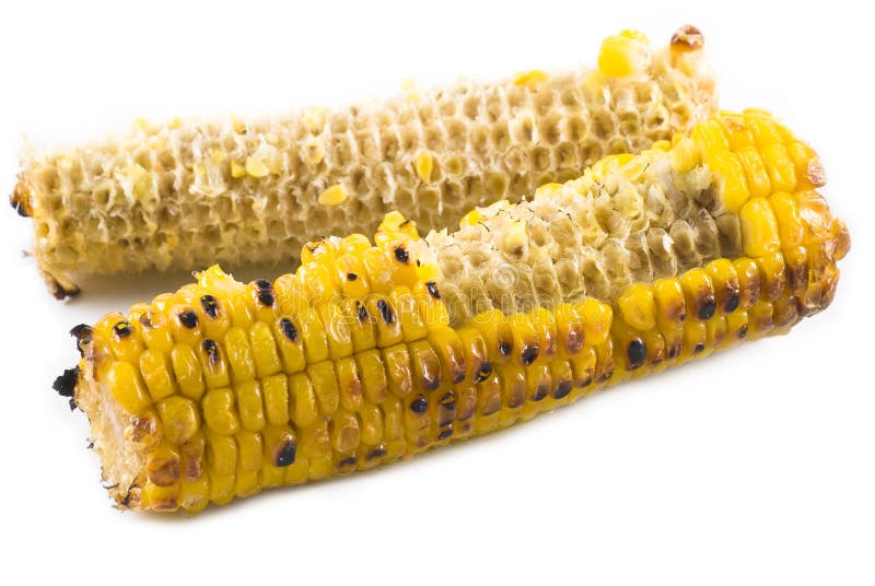 Half-eaten corn on the cob stock image. Image of healthy - 15705741