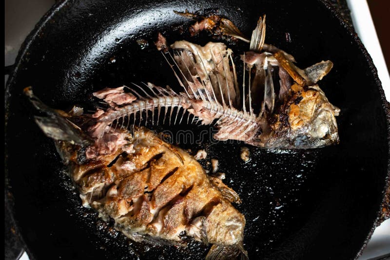 Eaten Fried Crucian Carp in a Pan. Fried Fish Spine and Bones Stock ...