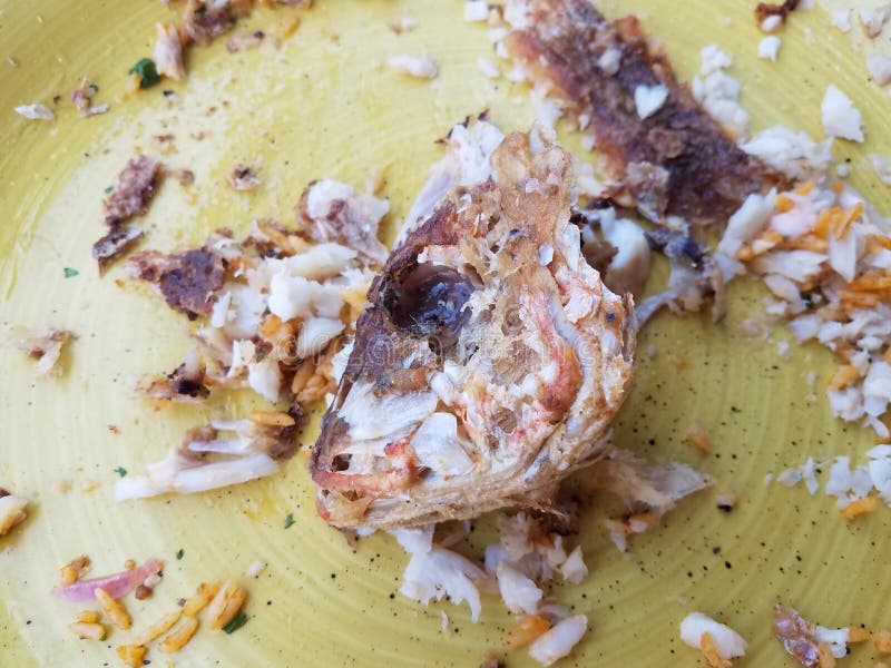 Eaten Fried Fish Head on Yellow Plate Stock Photo - Image of fish ...