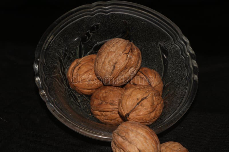 Round walnut tree stock image. Image of outdoor, background - 32425337