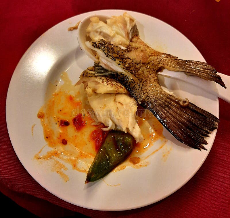 Eating a Fish Tail at People& X27;s Weddings Stock Photo - Image of ...