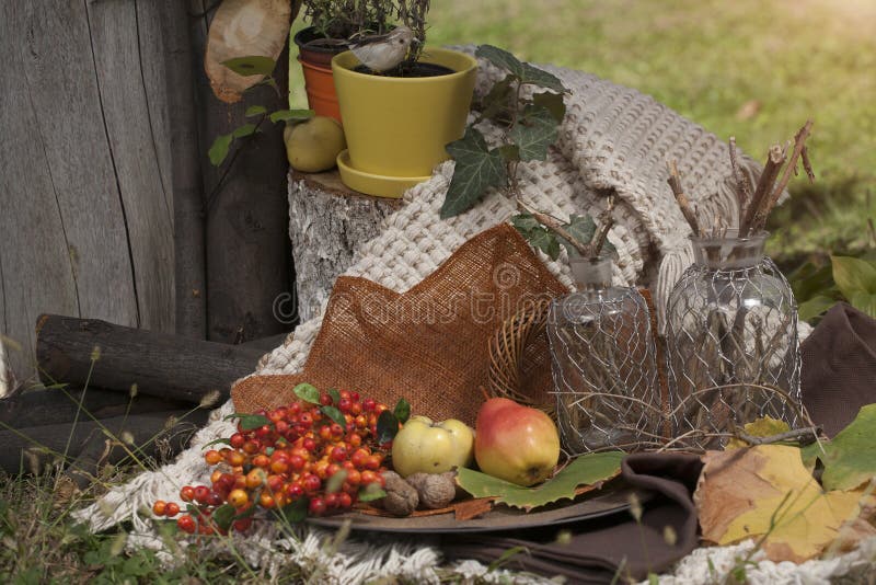 Poison Ivy Drawing Stock Photos - Free & Royalty-Free Stock Photos from ...