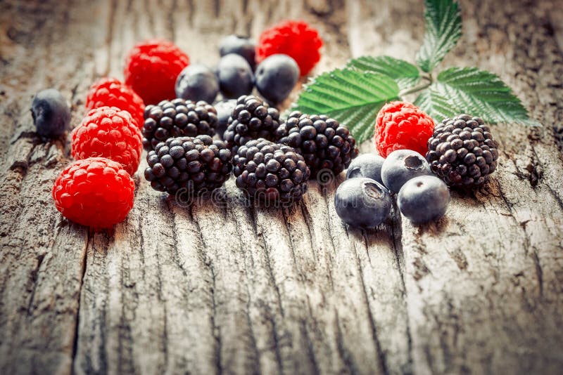 Eating Healthy Food - Fresh Organic Berry Fruit Stock Photo - Image of ...