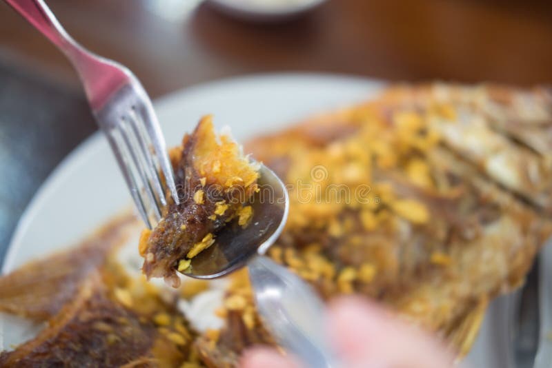 Eating Ruby Fish Fried stock photo. Image of south, traditional - 107012924