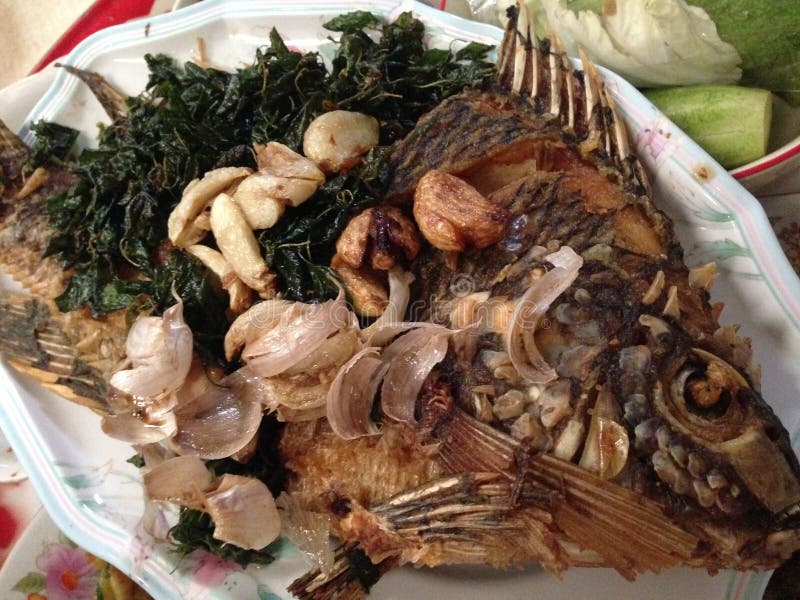 Eatting Fish stock photo. Image of eatting, fish, food - 72482702