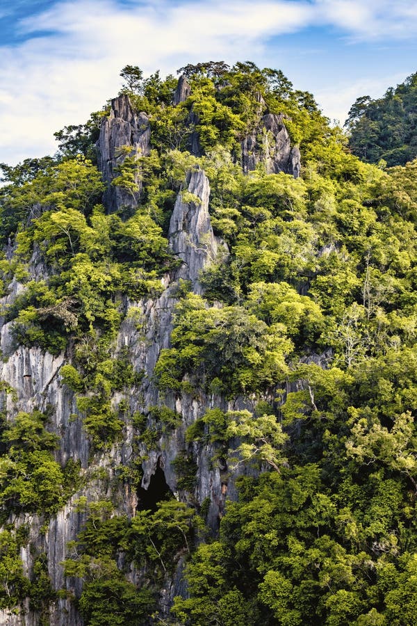 Eautiful View of Rock Cliffs with Tree Background Stock Image - Image ...
