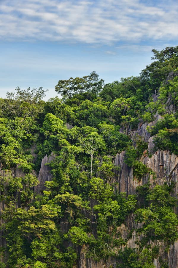 Eautiful View of Rock Cliffs with Tree Background Stock Photo - Image ...