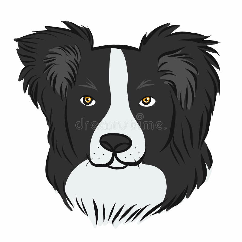 Cartoon Border Collie Stock Illustrations – 946 Cartoon Border Collie ...