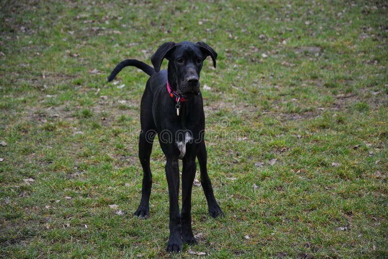 Ebbie Stock Photos - Free & Royalty-Free Stock Photos from Dreamstime