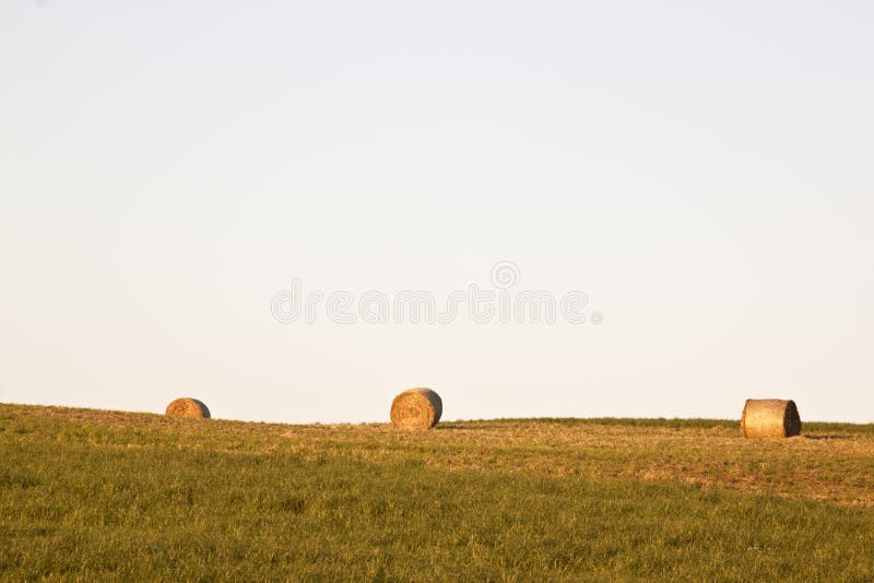 Eben Emballiertes Heu an Den Deutschen Feldern Stockfoto - Bild von ...