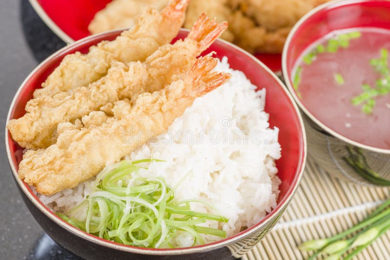Ebi Tendon stock image. Image of prawn, meal, batter - 50528569