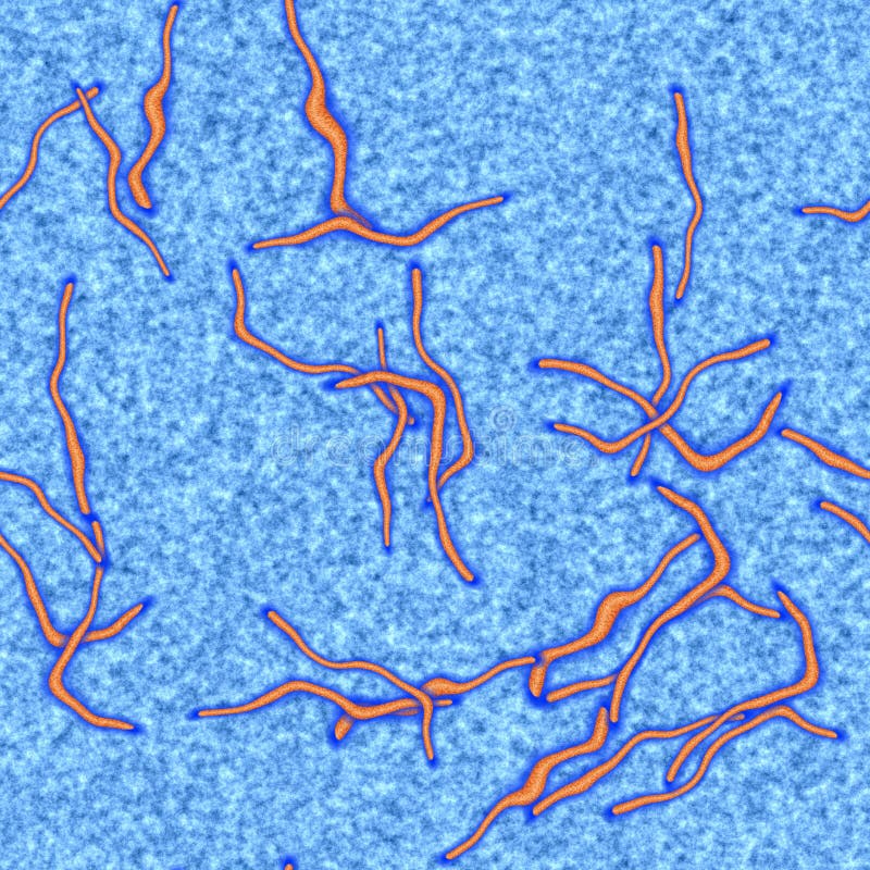 Worms generated texture stock illustration. Illustration of generated ...