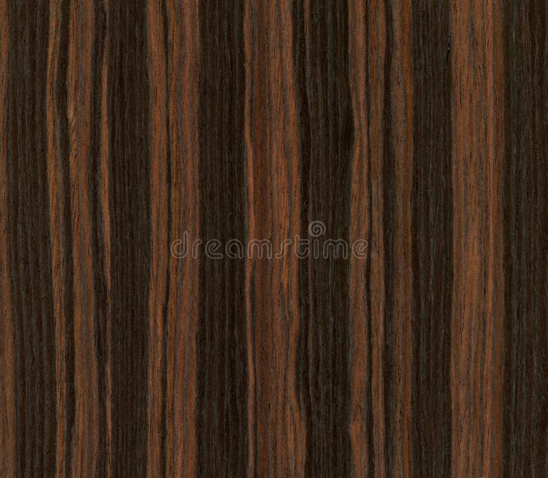 14,126 Ebony Asspread Stock Photos - Free & Royalty-Free Stock Photos ...