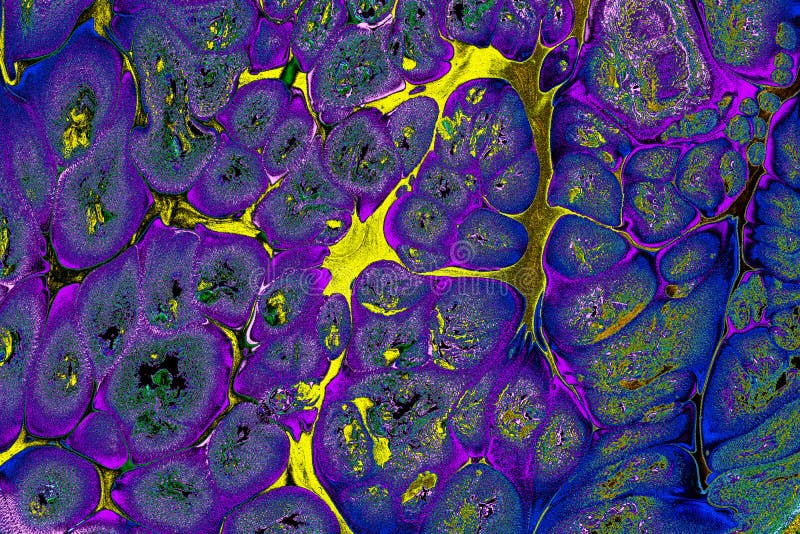 Ebru Marbling Effect Surface Pattern Design for Print Stock Photo ...