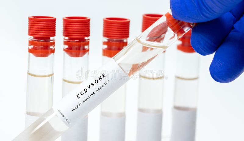 Ecdysone stock illustration. Illustration of pheromone - 380409156