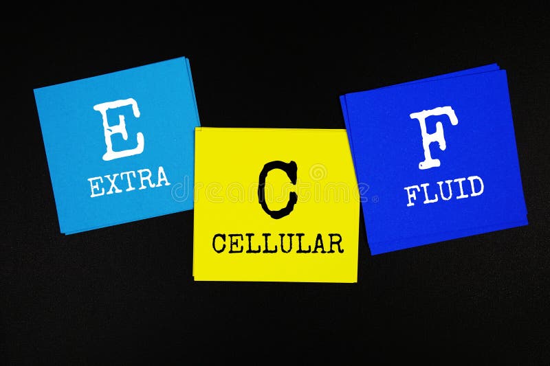 ECF - Extracellular Fluid Acronym Text on Sticky Note on Black ...
