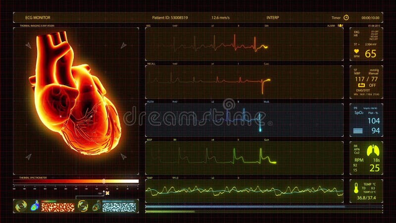 ECG Monitor Electrocardiogram Loop 3D Rendering Animation Stock Video ...