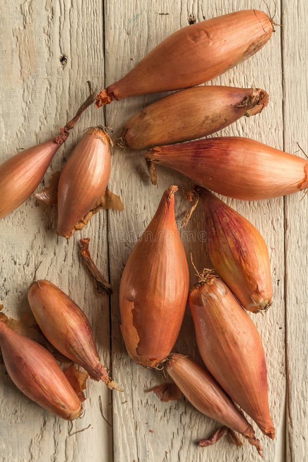Echalion Shallots stock photo. Image of banana, grouped - 68666384