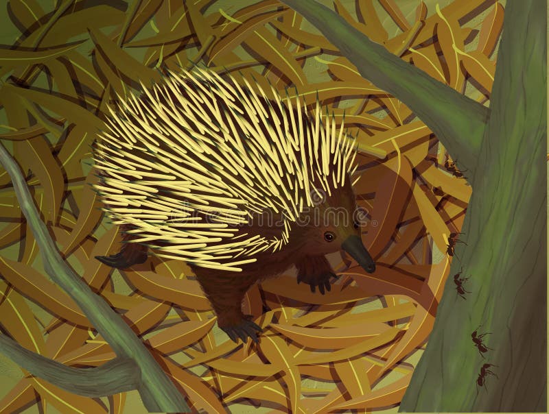 Echidna Habitat stock illustration. Illustration of surface - 19318378
