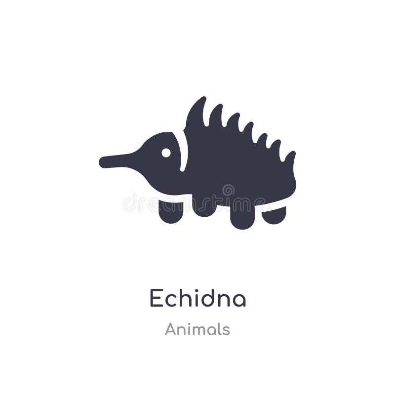 Echidna Icon. Isolated Echidna Icon Vector Illustration from Animals Collection Stock Vector ...
