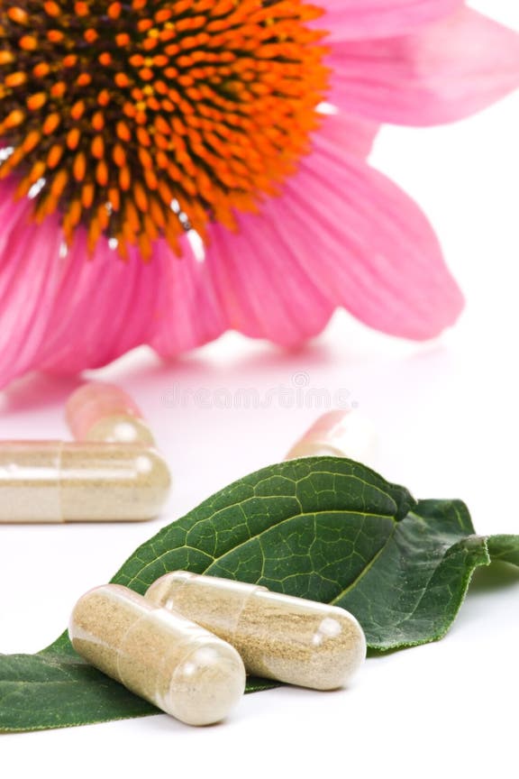 Echinacea capsules stock image. Image of medication, medicines - 3353183