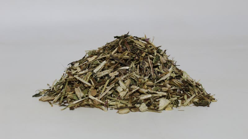 Echinacea Herb Chunks in a Small Pile. Stock Photo - Image of branch ...