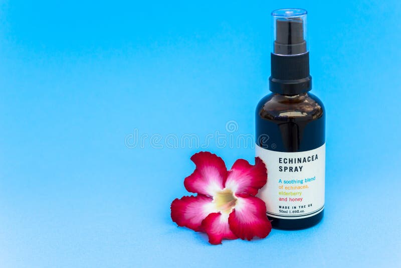 Echinacea spray stock image. Image of healthcare, drugstore - 31929835