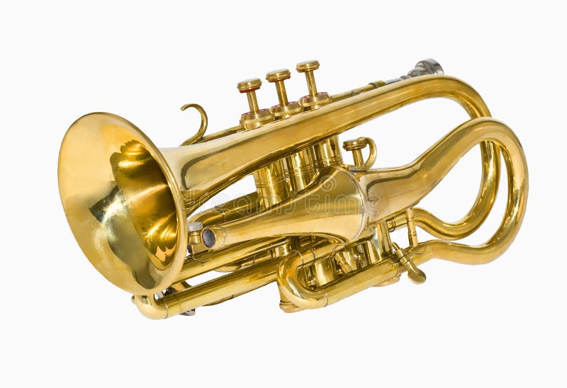 Echo cornet stock image. Image of nagphani, peacock, compact - 74307457