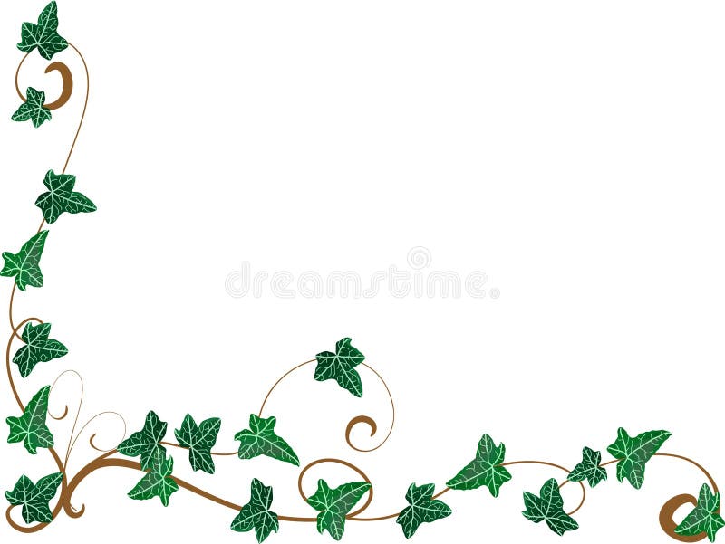 Efeu Stock Illustrationen, Vektoren, & Kliparts - 14,981 Stock ...