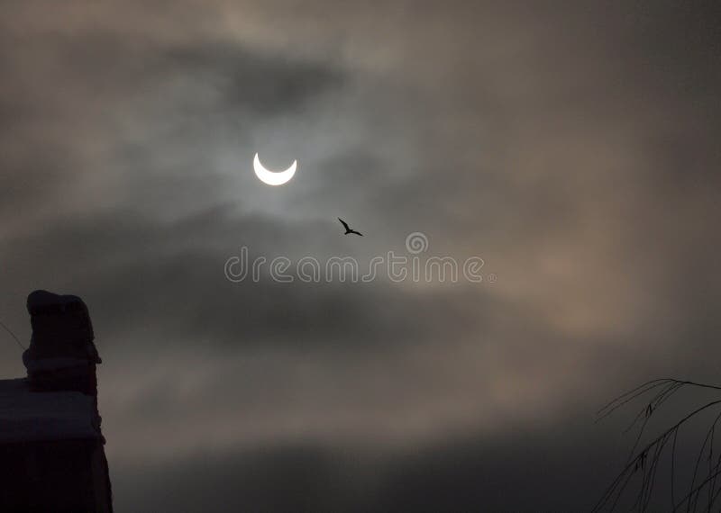 The Eclipse editorial image. Image of bird, romania, flight - 17663045