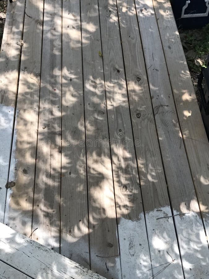 Eclipse on the ground stock image. Image of tree, eclipse - 102844873