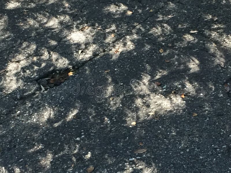 Eclipse on the Ground stock photo. Image of tallahassee - 102233952