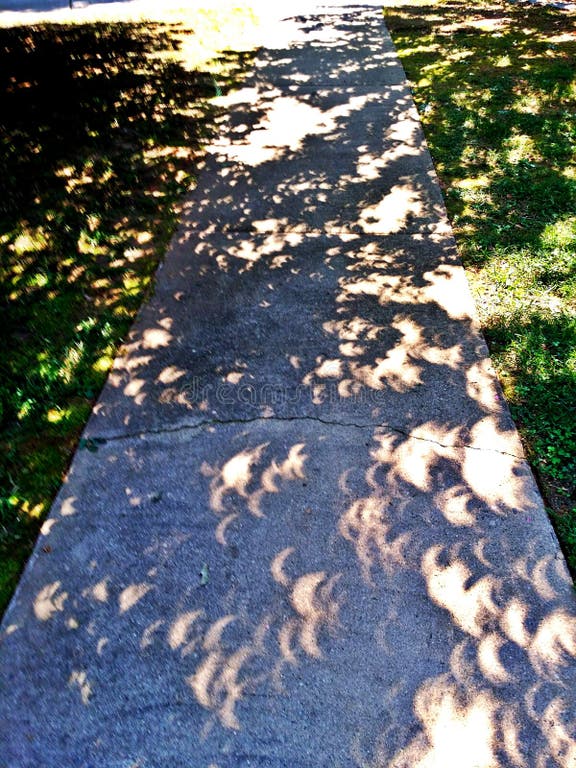 Eclipse reflection stock photo. Image of crescent, ground - 104281244