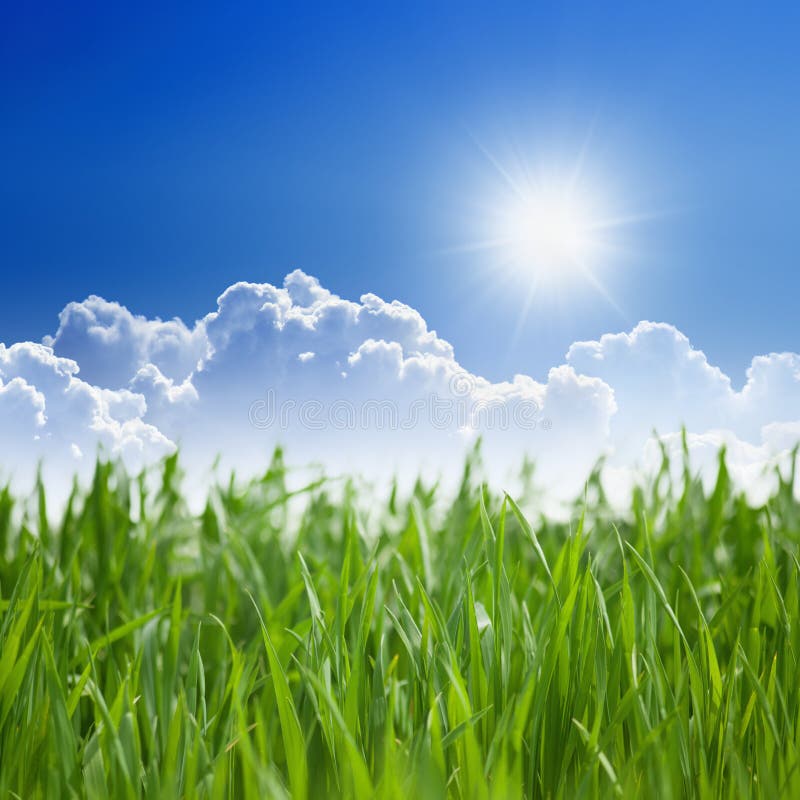 Eco background stock photo. Image of atmosphere, beautiful - 30950062