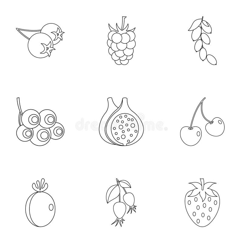 Bearberry Icon, Isometric 3d Style Stock Vector - Illustration of menu ... Bearberry Icon, Isometric 3d Style Stock Vector - Illustration of menu ...